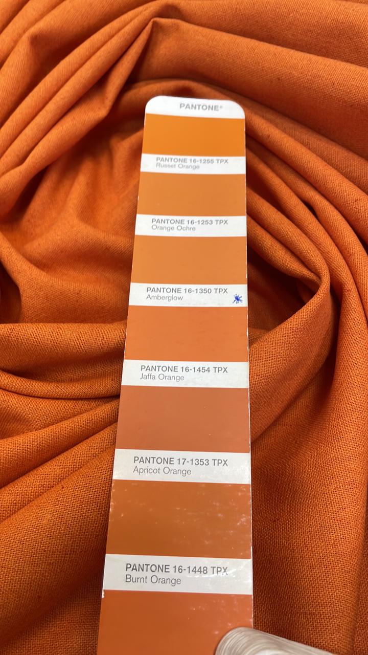 Burnt Orange Pantone